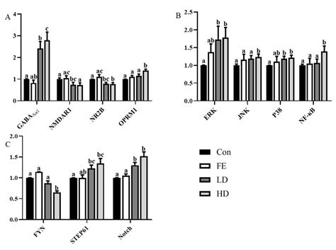 The Messenger Rna Mrna Expression Of Related Genes Encoding Ion Download Scientific Diagram