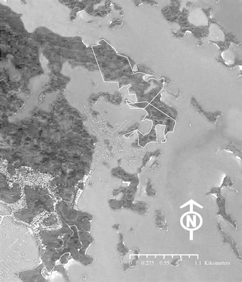 Map Of Home Ranges Outlined In White For Cat Ba Langurs Download Scientific Diagram