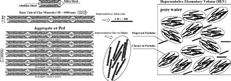 Figure 1 From Numerical Simulation Of Porosity And Tortuosity Effect On The Permeability In Clay