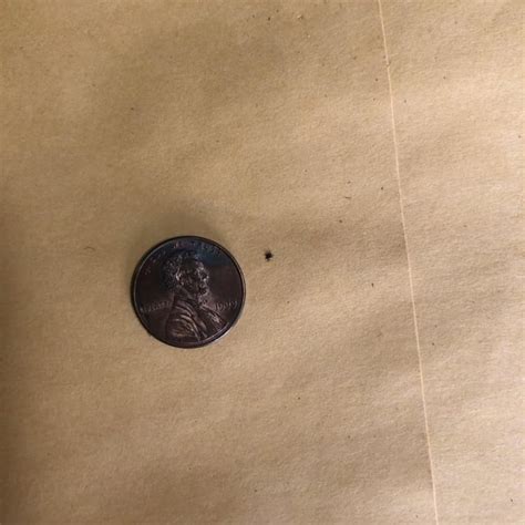 Deer Ticks Are Tiny And Can Transmit Lyme Disease Rvermont