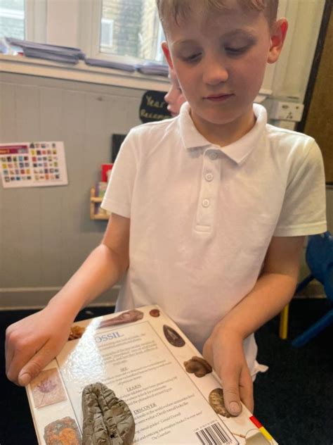 Our Clay Fossils Birdwell Primary Babe