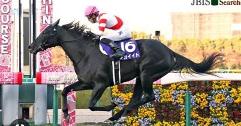 厩舎考察 中竹和也厩舎 有馬記念編｜nalnal