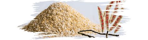 Mycotoxin Contamination In Various Fiber Sources Mycotoxinsite