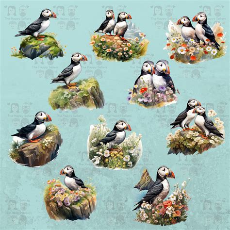 30 Cute Puffins Clipart Pack Instant Download 30 Adorable Etsy