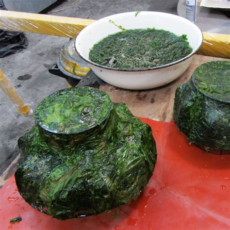 Marine Light By Nir Meiri