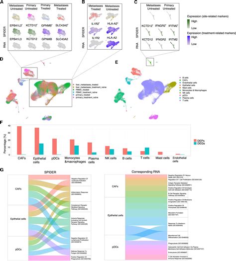 Imputing Abundance Of Over 2500 Surface Proteins From Single Cell Transcriptomes With Context