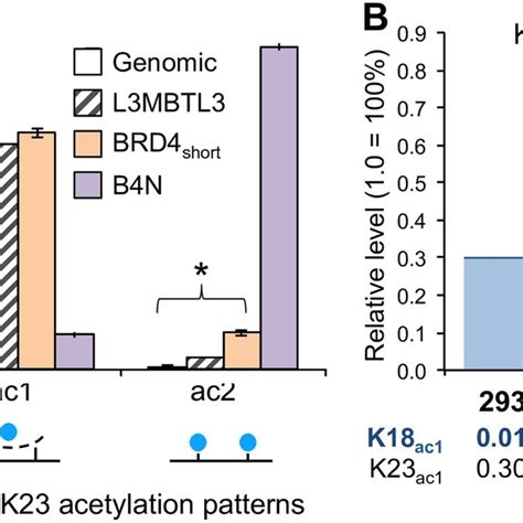 Quantification Of H4 K5 K8 K12 And K16 Acetylation Enrichment A