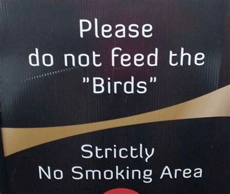 15 funny quotation mark fails