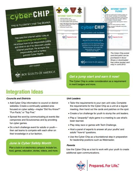 Cyber Chip Scouts Bsa Troop 365