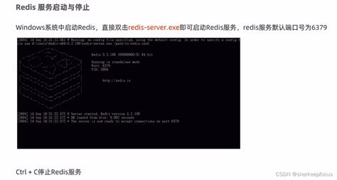 Redis Csdn博客