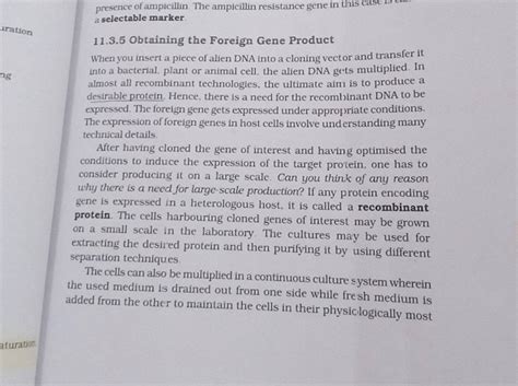 Presence Of Ampicillin The Ampicillin Resistance Gene In This Case Is A
