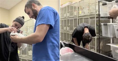 Sassy Parrot Has Vet Tech In Laughter During Nail Trim