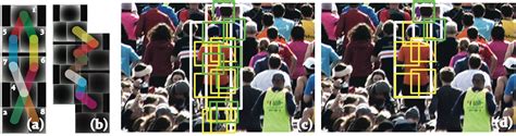 Detecting Humans In Dense Crowd Images Center For Research In Computer Vision