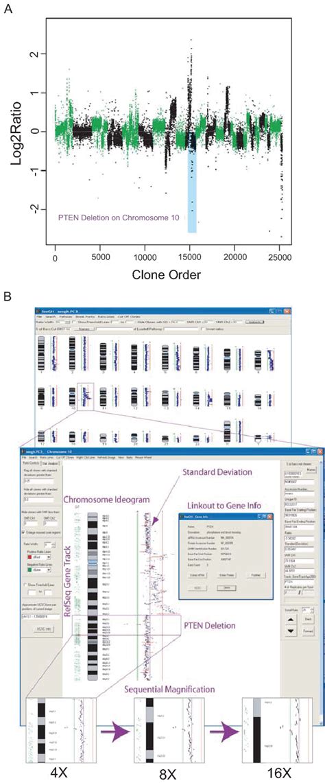 Figure 4 From Computational Methods For The Analysis Of Array Comparative Genomic Hybridization