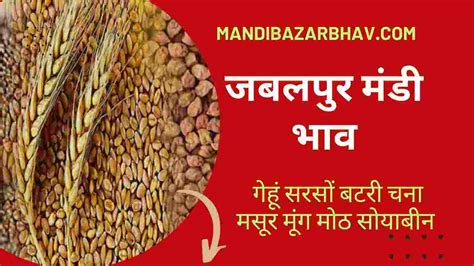 आज का जबलपुर मंडी भाव 21 अप्रैल 2023 को गेंहू में गिरावट चना सरसों में