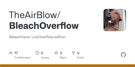 GitHub TheAirBlow BleachOverflow BleachHack LiveOverflow Edition