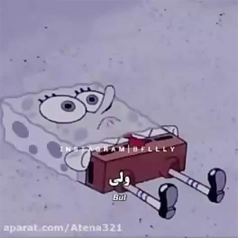 باب اسفنجی