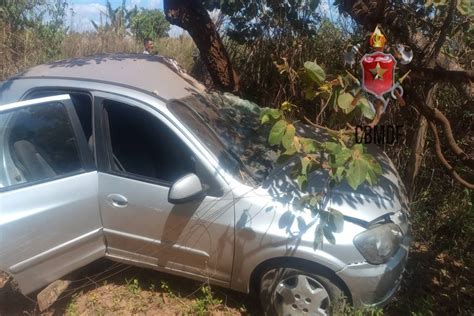 Passageira fica ferida após colisão de carro em árvore no DF Metrópoles
