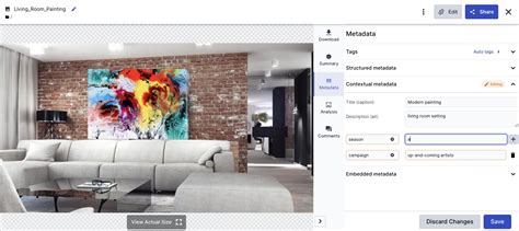 Assets Digital Asset Management Custom Metadata Documentation