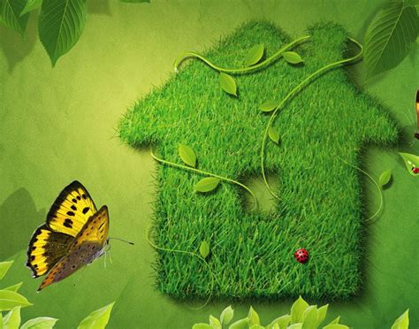 ეკოლოგია Galaxygroup Ge