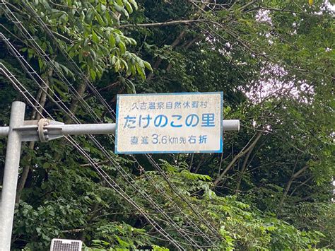 青森に実在する「たけのこの里」 弘前経済新聞