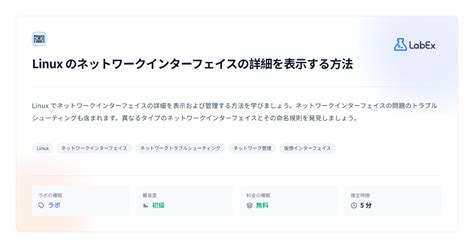 Linux のネットワークインターフェイスの詳細を表示する方法 Labex