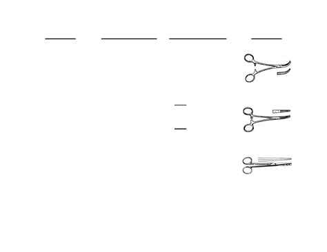 Appendix Opening Procedures Of The Peritoneal Cavity Cont Routine Procedures For An