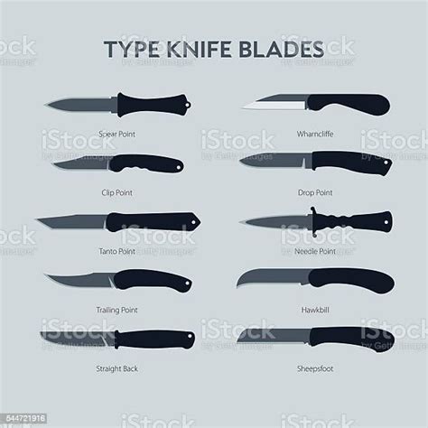 Type Of Knife Blades向量圖形及更多刀圖片 刀 打獵 不銹鋼 Istock