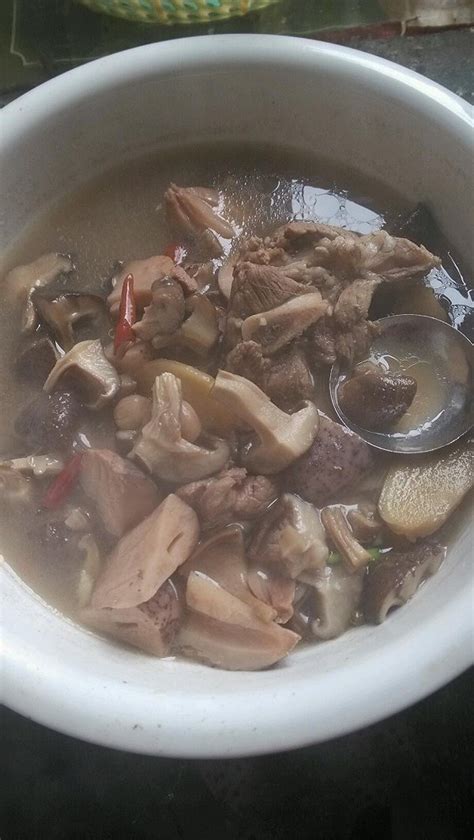 小香菇炖排骨香菇简笔画香菇炖排骨大山谷图库