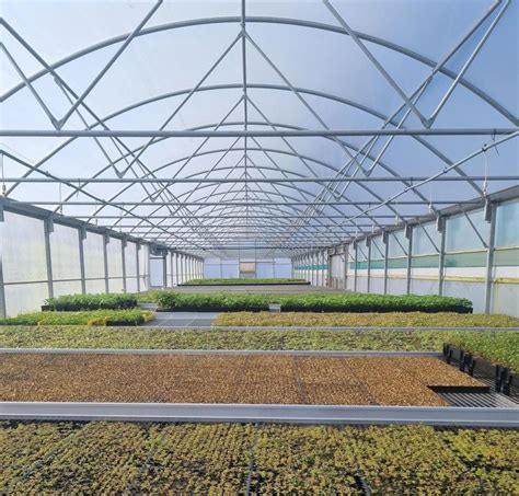 Apf Elsomstrees Forestry Elsoms Trees