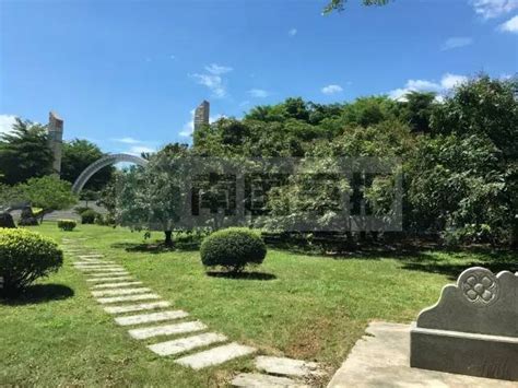 南宁女学生喝醉酒 被两名男同学带进校门口小树林 凤凰网