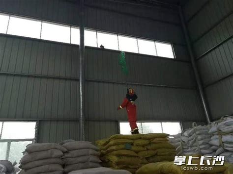 “怪鸟”飞进厂房被困！消防员紧急救助 原来是它凤凰网湖南凤凰网