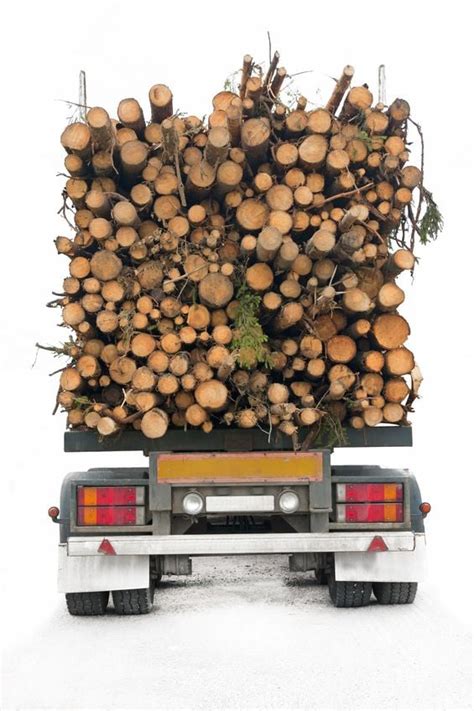 Importing Wood Products And Wood Packaging Into The Us And Canada