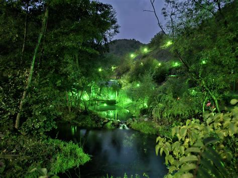 Cabana Cuib De Șoim Added A New Cabana Cuib De Șoim