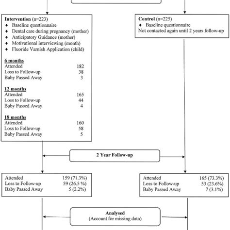 Flow Diagram Of Participants Through Key Stages Of The Randomised