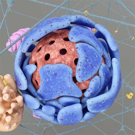 Zoe Fluorescent Cell Imager 3d Model 59 3ds Blend C4d Fbx Max Ma Lxo Obj Free3d