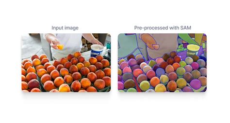 Segment Anything Model SAM Integration In V7 Auto Annotate