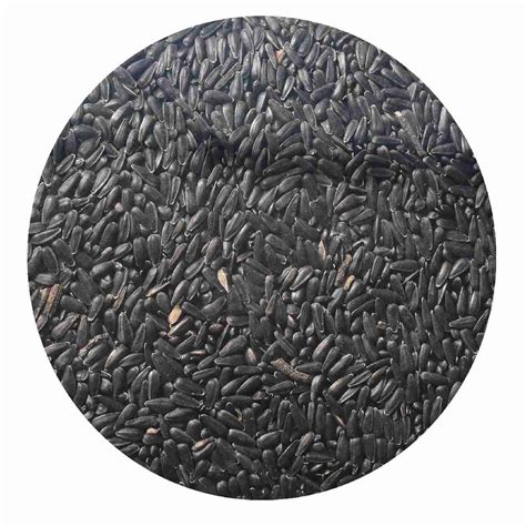 19slunečnice černá Farma Rohatce