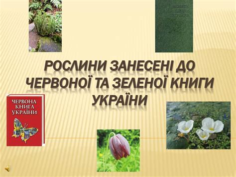 Презентація Рослини Червоної книги України
