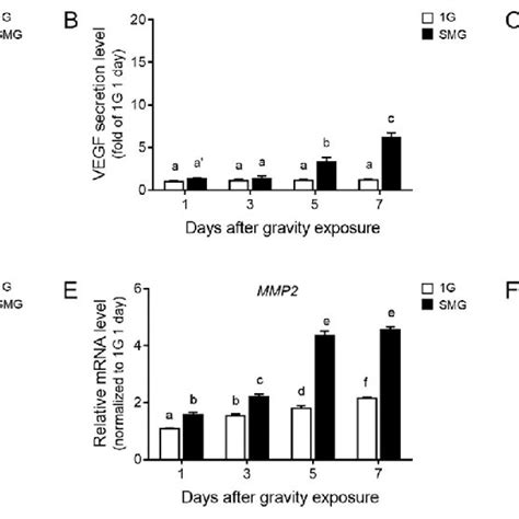 Increased Cell Proliferation And Activated Actin Cytoskeleton Regulator