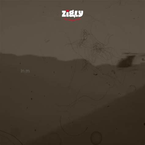 Mohamed Arif Posted On Linkedin