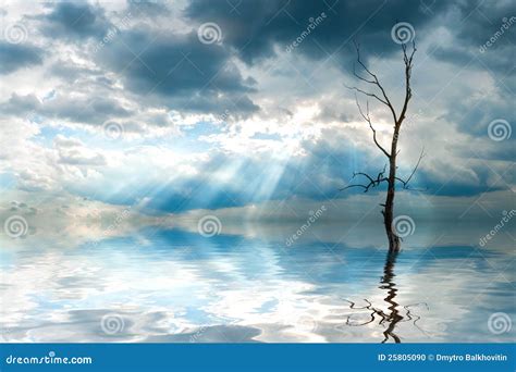 Tree Reflection In Water Stock Photo Image Of Colorful