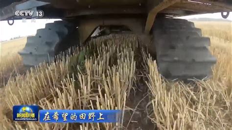 81亿亩！全国春播粮食进度约90 5月底冬小麦将大面积收获新闻频道央视网