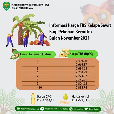 Informasi Harga TBS Kelapa Sawit Bagi Pekebun Bermitra Bulan November