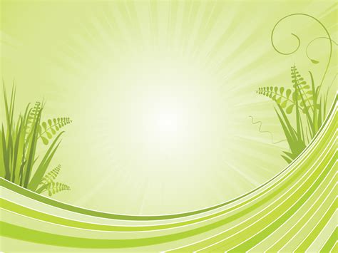 Ppt Organ Systems In Plants Powerpoint Presentation