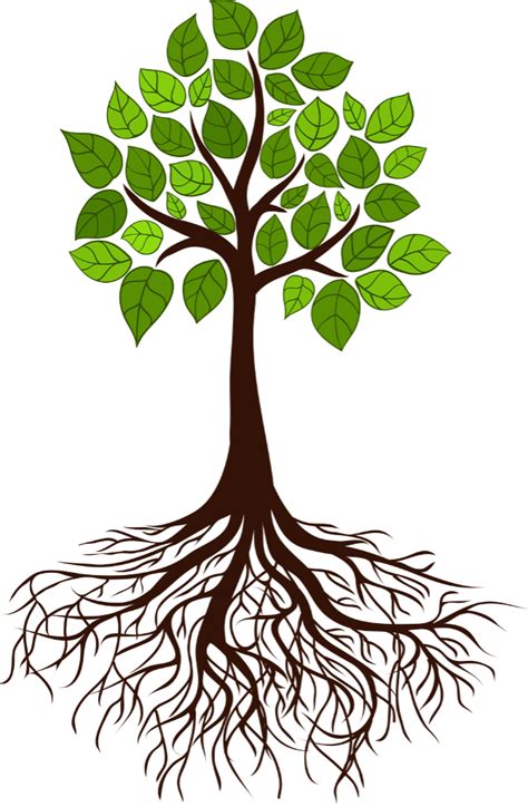 Arbol De Problemas Esquema Vacio The Best Porn Website