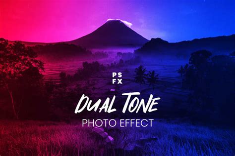 21 In 1 Apex Photoshop Templates Bundle Photoboto