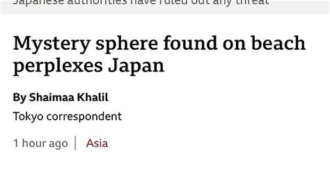 Bet They Find A Snail Inside Album On Imgur