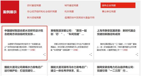 再添一项！合肥南方项目临时党支部党建品牌入选全国第六届基层党建创新典型案例合肥水泥研究设计院有限公司