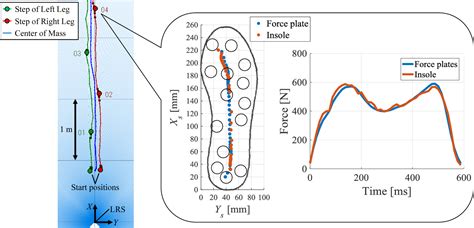 Figure 5 From Kinetic And Spatiotemporal Gait Analysis System Using